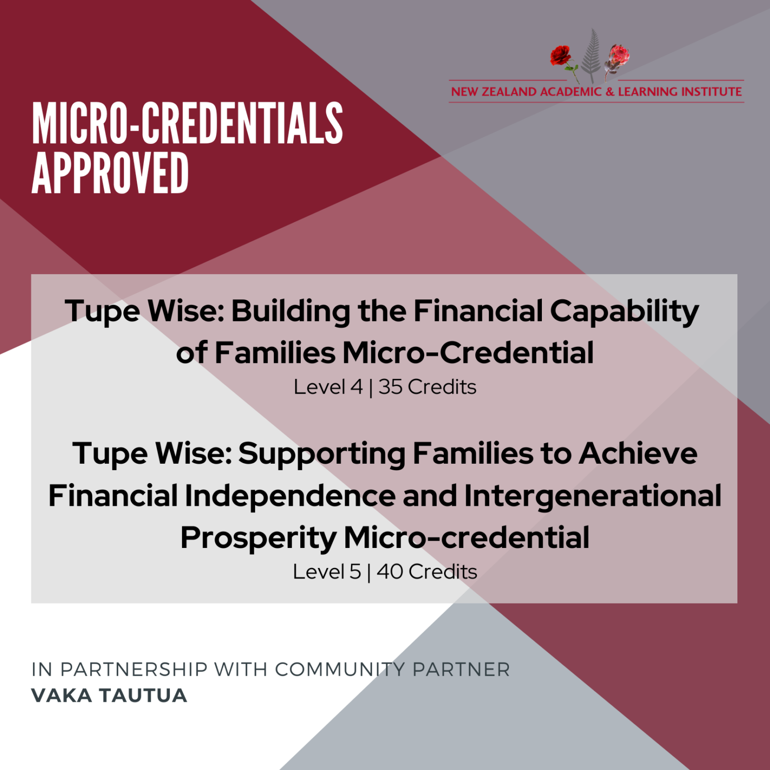 TUPE WISE FINANCIAL CAPABILITY MICRO-CREDENTIALS IN PARTNERSHIP WITH VAKA TAUTUA – APPROVED